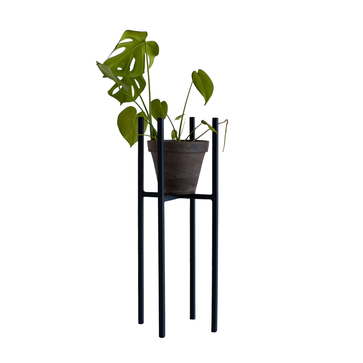 Spitfire Furniture | Tetra Planter Stand - Medium