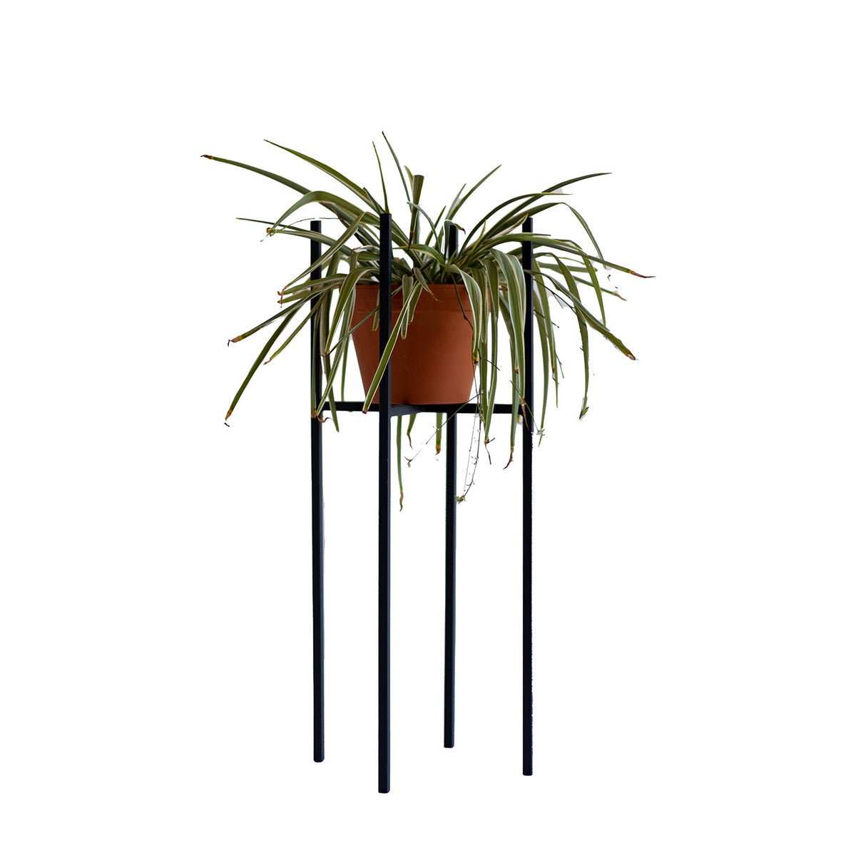 Spitfire Furniture | Tetra Planter Stand - Large