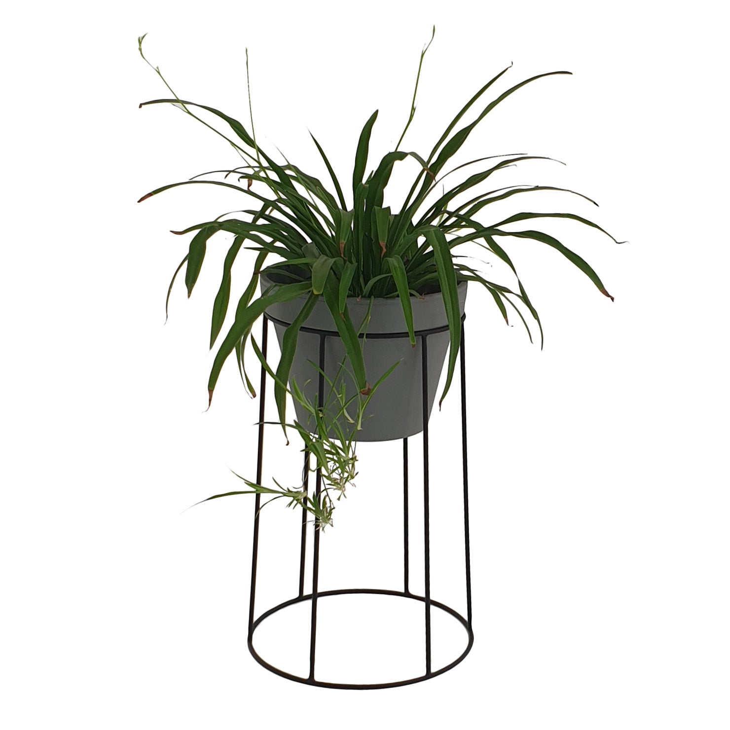 Spitfire Furniture | Tube Planter Stand - Small